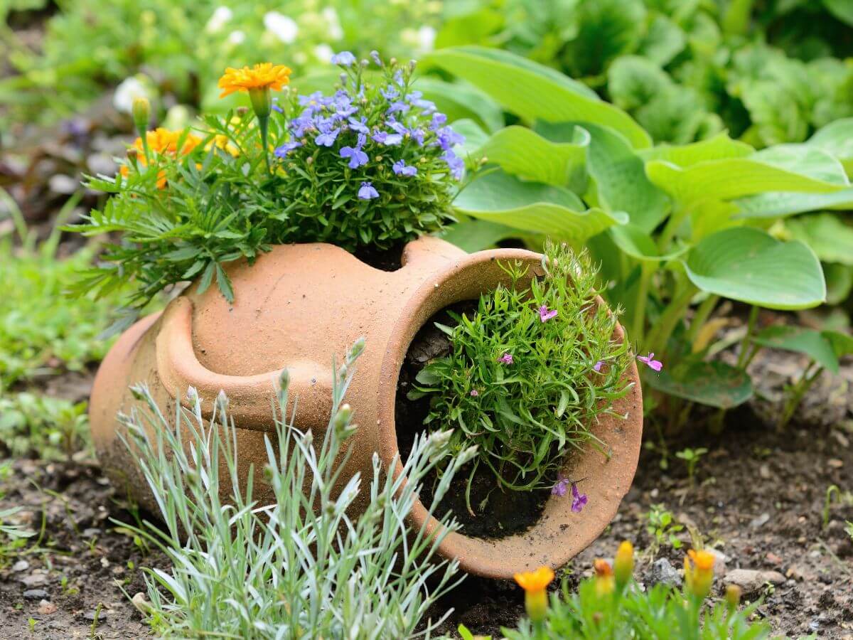 Backyard Recycling in Manitoba | Simply Recycle