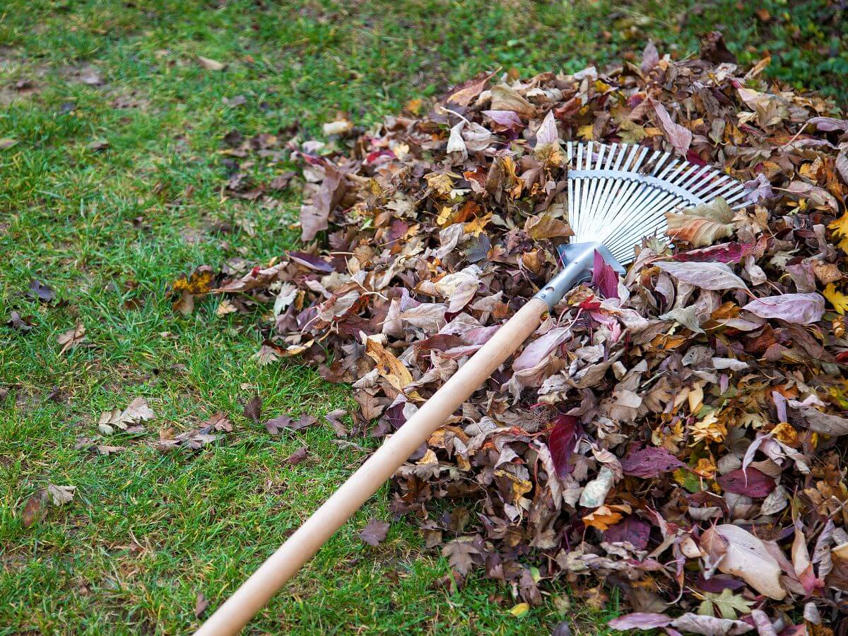 Backyard Recycling in Manitoba | Simply Recycle